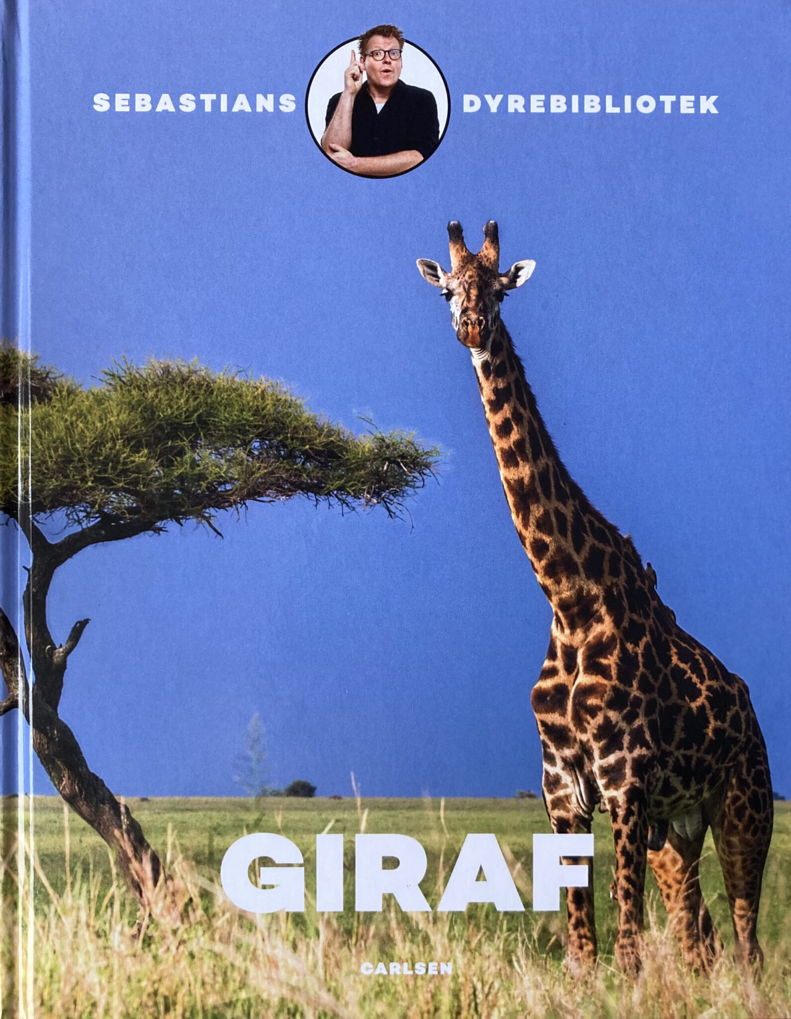 bøger - Sebastian Klein