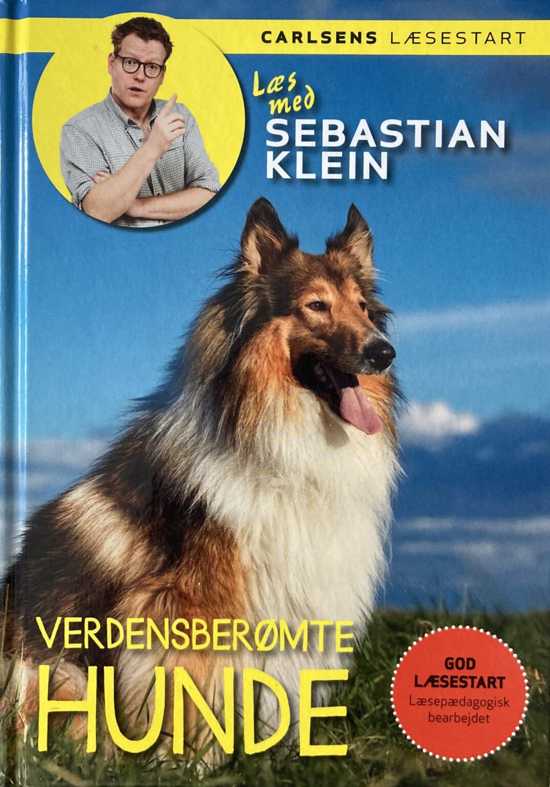 bøger - Sebastian Klein